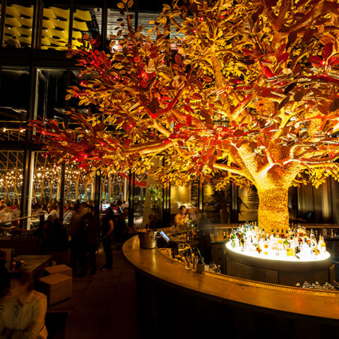 London Heron Tower Restaurant | Rooftop Restaurant | SUSHISAMBA