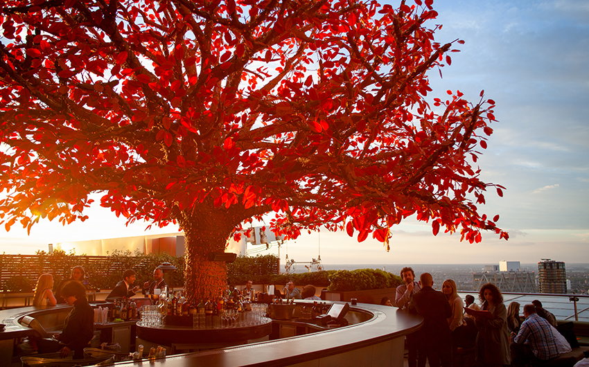 Japanese Restaurant with a view in London | SUSHISAMBA