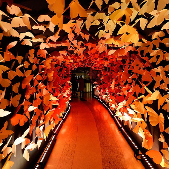 Luxury Private Events and Experiences | SUSHISAMBA