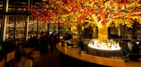 Contact Us | SUSHISAMBA Restaurant in Dubai